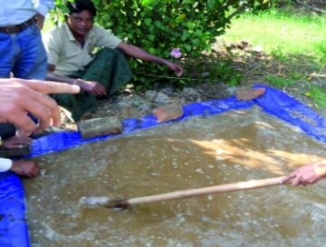 Azolla Bed for Cultivation | Azolla Beds Manufacturer