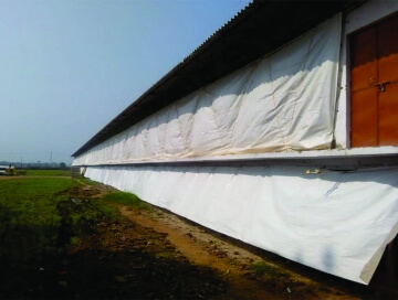 Poultry Curtains Manufacturers | Poultry Curtain Sheets