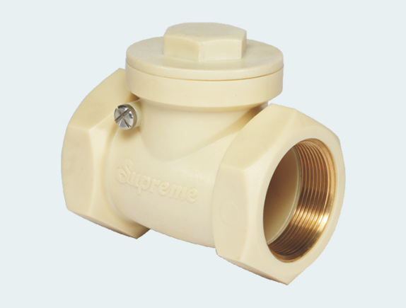 Supreme Swing Check Valve Manufacturer in India