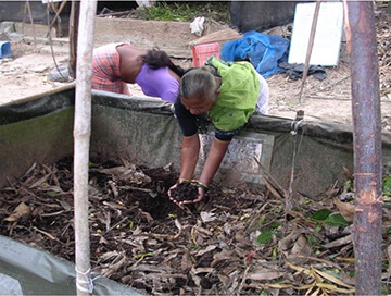 Vermicompost Bed Manufacturer | HDPE Vermibeds Supreme