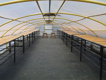 Solar Dryer Sheet Manufacturer | Silpaulin Sheets Traps