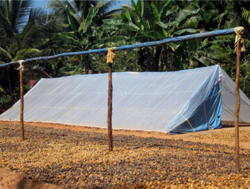 Supreme Silpaulin Sheets Traps | Solar Dryer Sheet