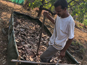 Vermicompost Bed Manufacturer | HDPE Vermibeds Supreme