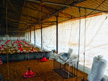 Poultry Curtains Manufacturers | Poultry Curtain Sheets