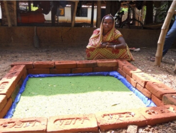 Azolla Bed for Cultivation | Azolla Beds Manufacturer