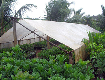 Supreme Plastic Cover for Garden Beds | Plastic Garden Cover