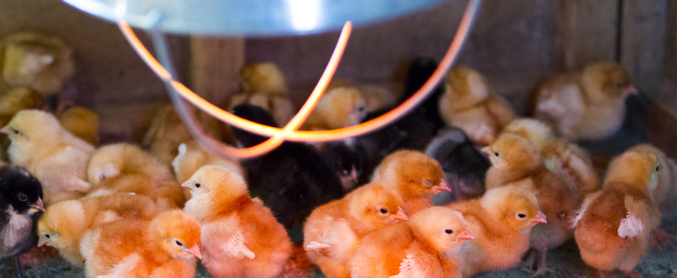 Composite Cylinder Manufacturer in India | Composite Gas Cylinder ...