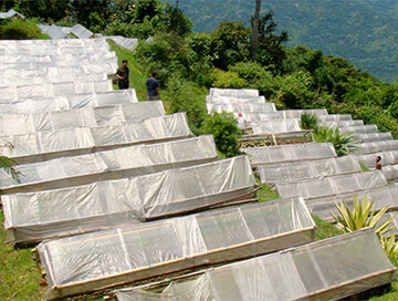 Supreme Plastic Cover for Garden Beds | Plastic Garden Cover